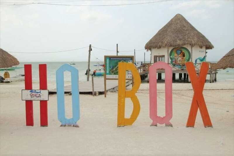 Cancun: Holbox Island Birdwatching and Wildlife Adventure - Who Should Consider This Tour?