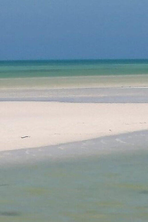 Cancun: Holbox plus Island, Punta Mosquito Trip with Lunch - FAQs