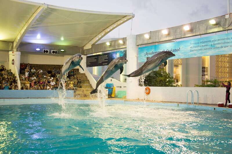 Cancún Interactive Aquarium Admission + Dolphin Presentation - What’s Included and What’s Not
