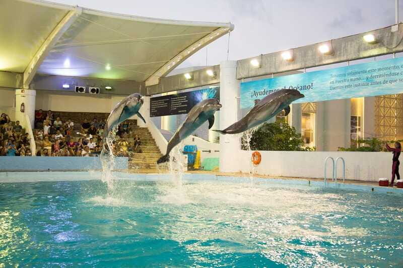 Cancún Interactive Aquarium Admission + Dolphin Presentation - Practical Details: Timing, Accessibility, and Location