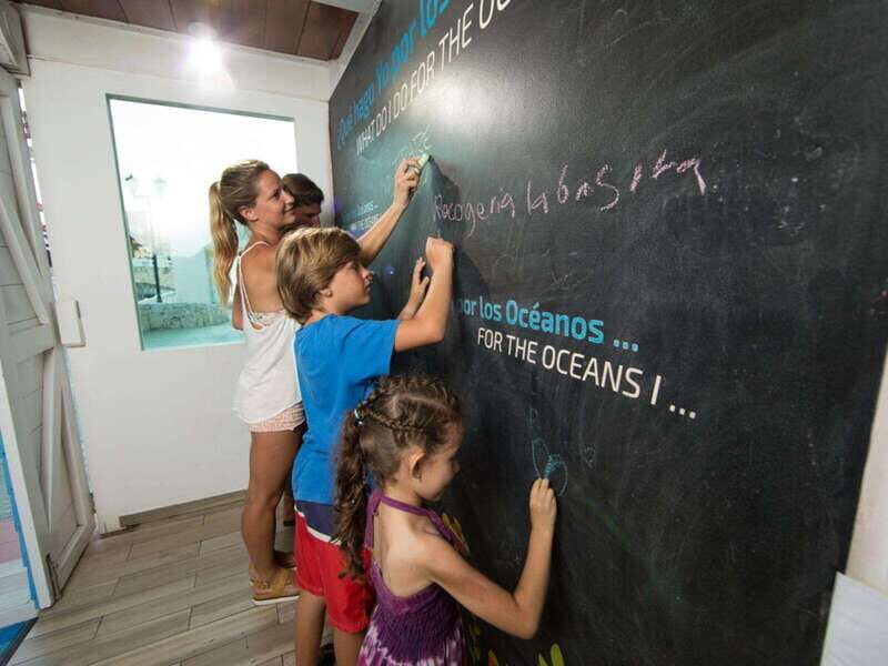 Cancún Interactive Aquarium Admission + Dolphin Presentation - What Do Travelers Say?