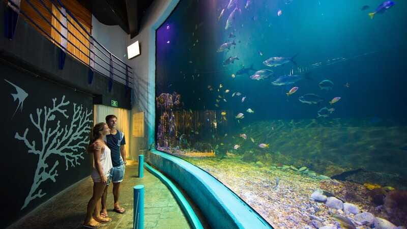 Cancún Interactive Aquarium Admission + Dolphin Presentation - The Value of the Experience