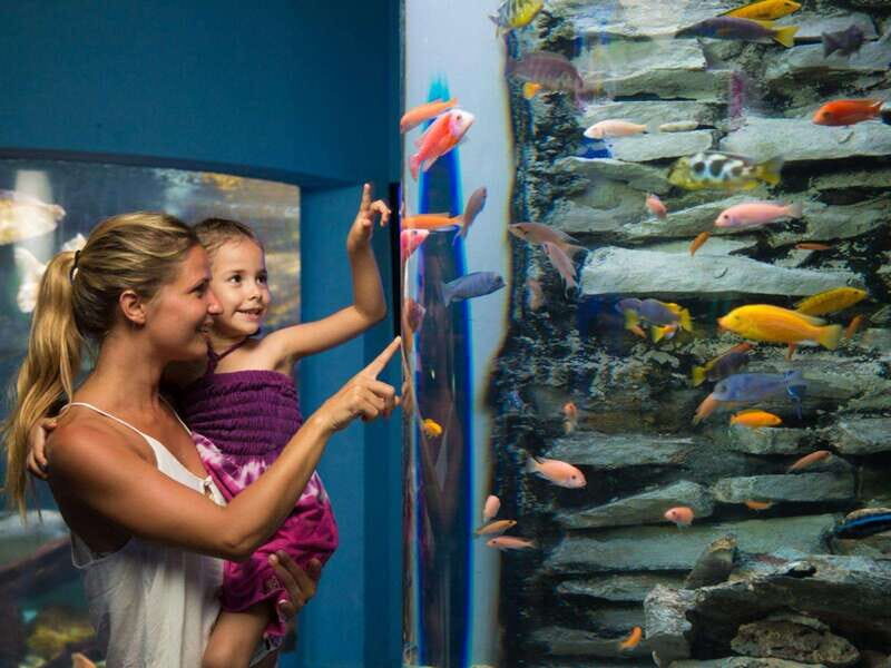 Cancún Interactive Aquarium Admission + Dolphin Presentation - Who Would Enjoy This Tour?
