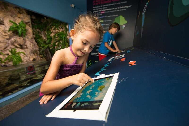 Cancún: Interactive Aquarium Admission - What to Expect from Your Visit
