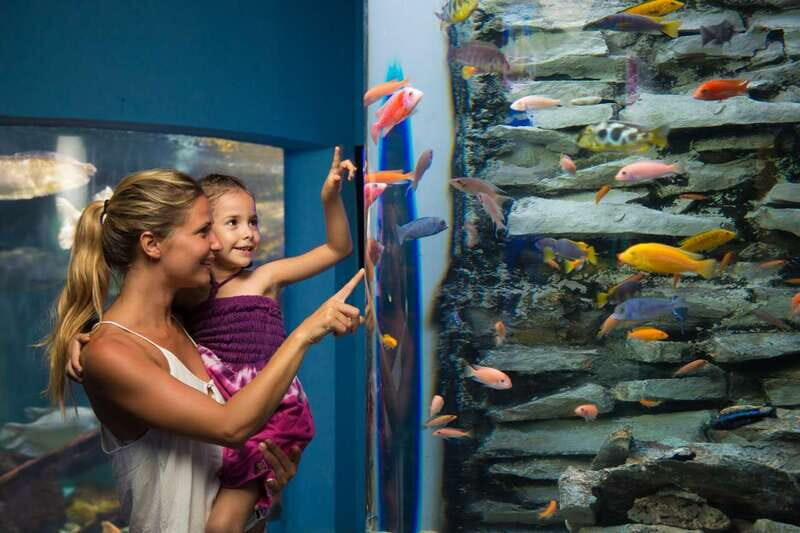 Cancún: Interactive Aquarium Admission - The Sum Up