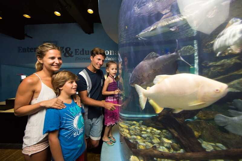 Cancún: Interactive Aquarium Admission - FAQ