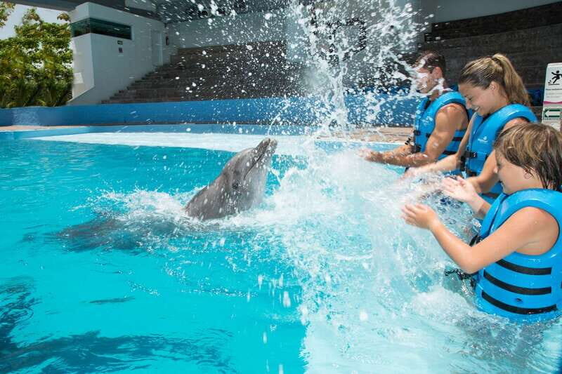 Cancun: Interactive Aquarium - Swim with dolphins Premium - Key Points