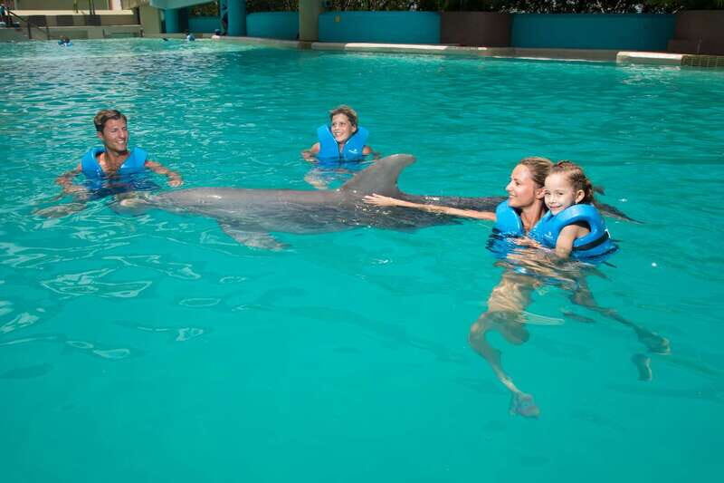 Cancun: Interactive Aquarium - Swim with dolphins Premium - The Experience: A Deeper Look