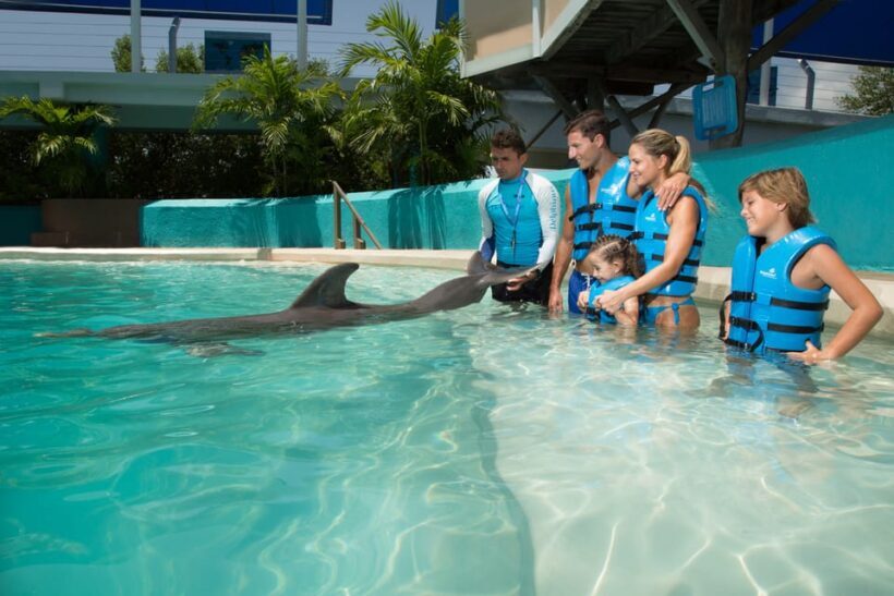 Cancun: Interactive Aquarium - Swim with dolphins Premium - Practical Tips for Your Visit