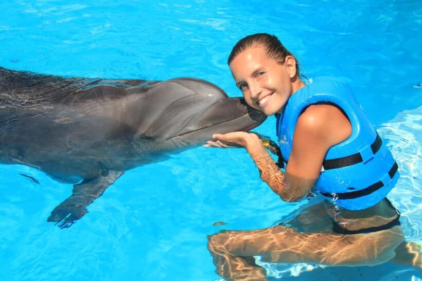 Cancun: Interactive Aquarium Ticket and Swim with Dolphins - Deep Dive into the Experience