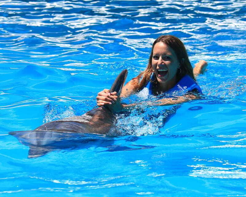 Cancun: Interactive Aquarium Ticket and Swim with Dolphins - The Sum Up