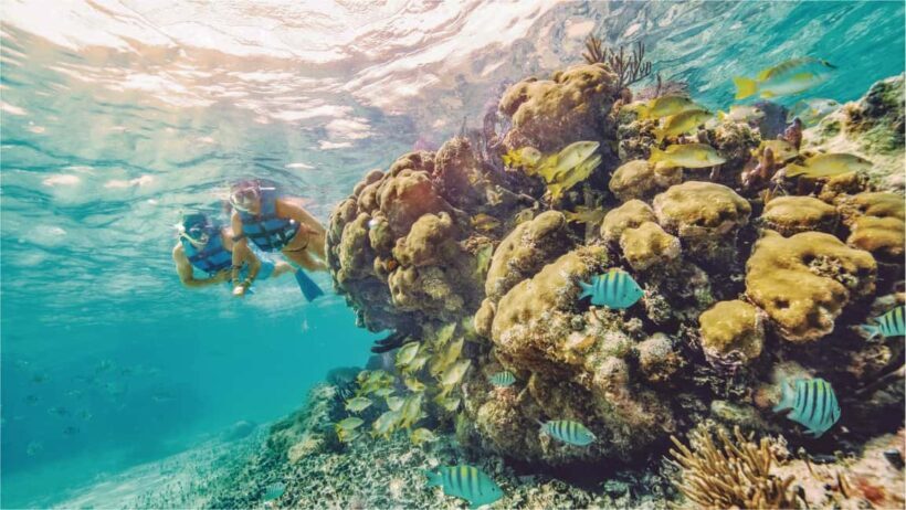 Cancun: Isla Mujeres Royal Garrafon with Transport & Lunch - Practical Tips and Considerations