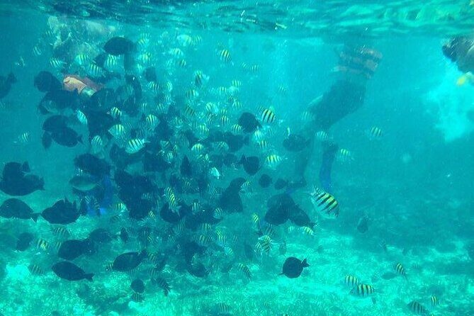 Cancun Jetski and Snorkel Adventure - The Experience in Detail