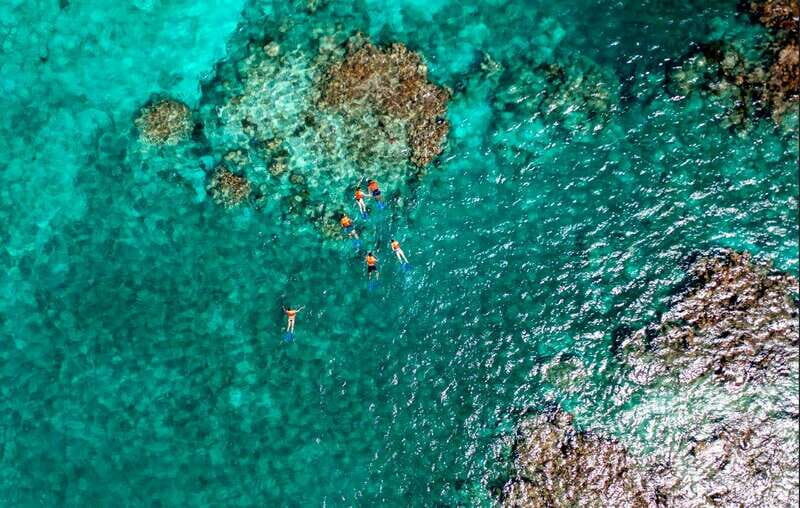 Cancun: Jungle Tour Adventure with Speedboat and Snorkeling - Practical Tips for Travelers