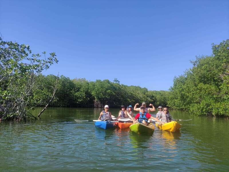 Cancun: Kayaking Tour in Nichupte Lagoon - Who Should Book This Tour?