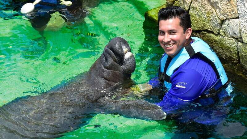 Cancún: Manatee Encounter on Isla Mujeres with Buffet Lunch - An Honest Breakdown of the Experience