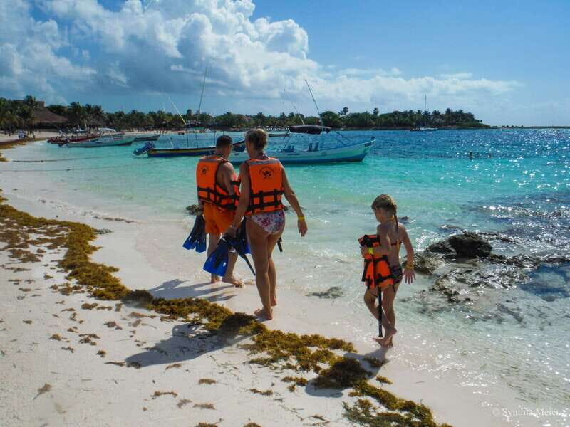 Cancun: Marine Turtle Observation in Akumal - The Sum Up