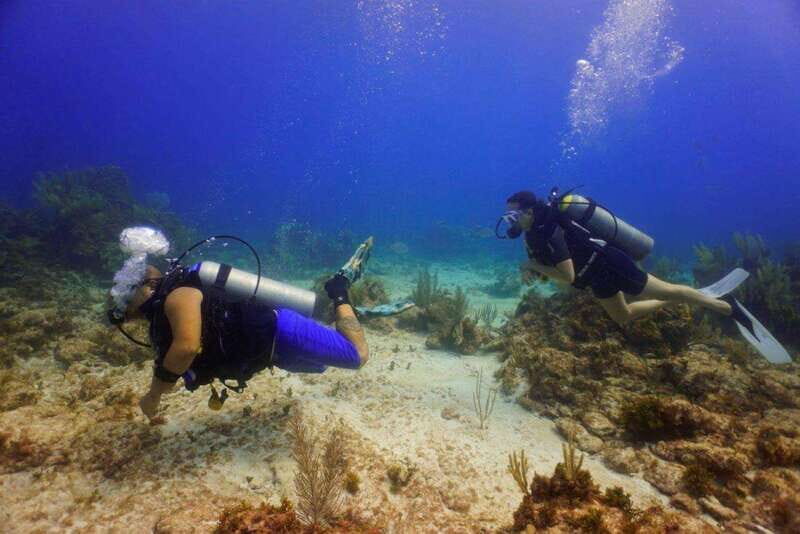 Cancun: MUSA Diving for certified divers morning dive trip - Group Size and Atmosphere