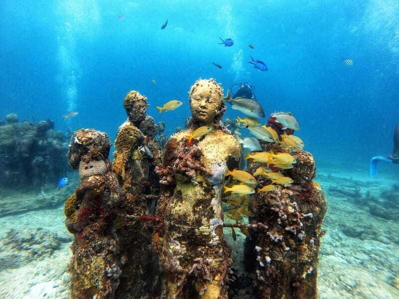 Cancun: Musa Underwater Museum & Reef Discover Scuba Diving - Authentic Insights from Reviews