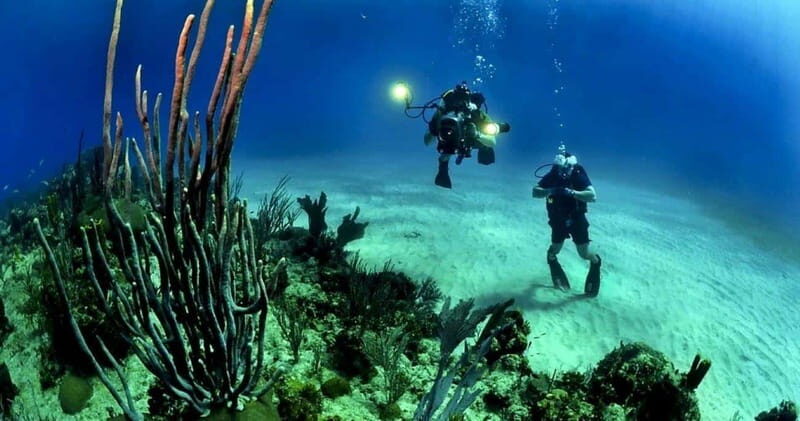 Cancun or Isla Mujeres Reef Diving for Beginners - What to Expect During the Reef Diving Experience