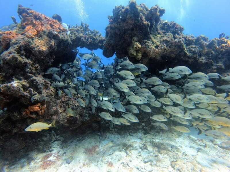 Cancun: PADI Enriched Air Nitrox Course - Frequently Asked Questions