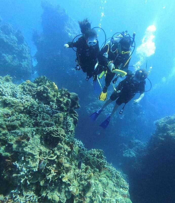 Cancun: Parrotfish Adventure Package - Introduction