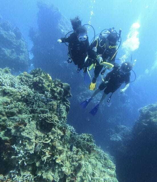 Cancun: Parrotfish Adventure Package - FAQ