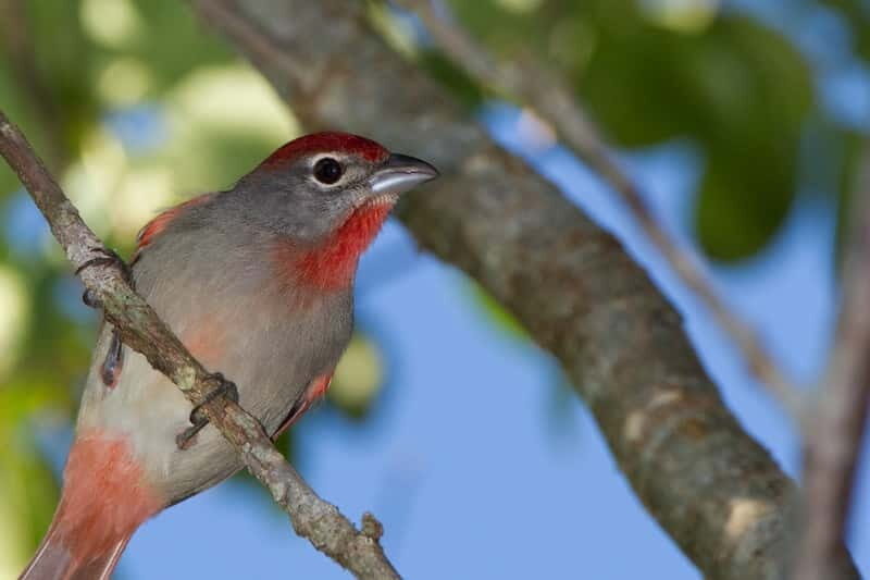 Cancun: Private Birdwatching Tour - Final Thoughts