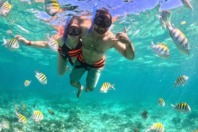 Cancún Private Catamaran to Isla Mujeres with Snorkeling & Lunch - Setting the Scene: What to Expect on Your Day