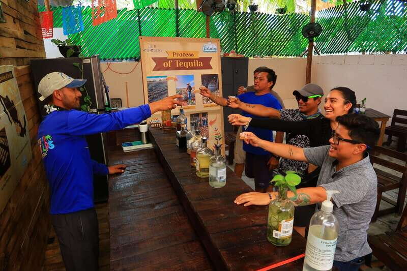 Cancún: Puerto Morelos City & Taco Tour - FAQ