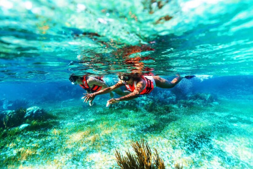 Cancún: Puerto Morelos Reef Snorkeling Tour & Seaside Lunch - Final Thoughts: Is It Worth It?