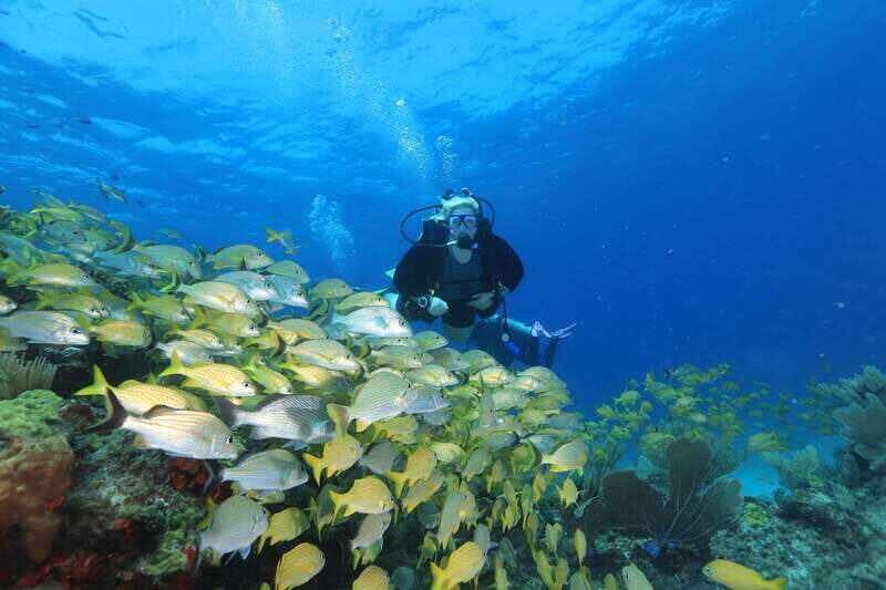 Cancun: Scuba Diving for Beginners, 2 Dives - Key Points