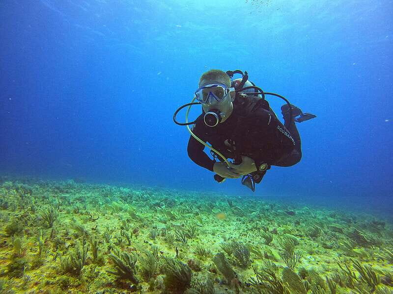 Cancun: Scuba Diving for Certified Divers, 3 options to dive - Exploring the Three Dive Options
