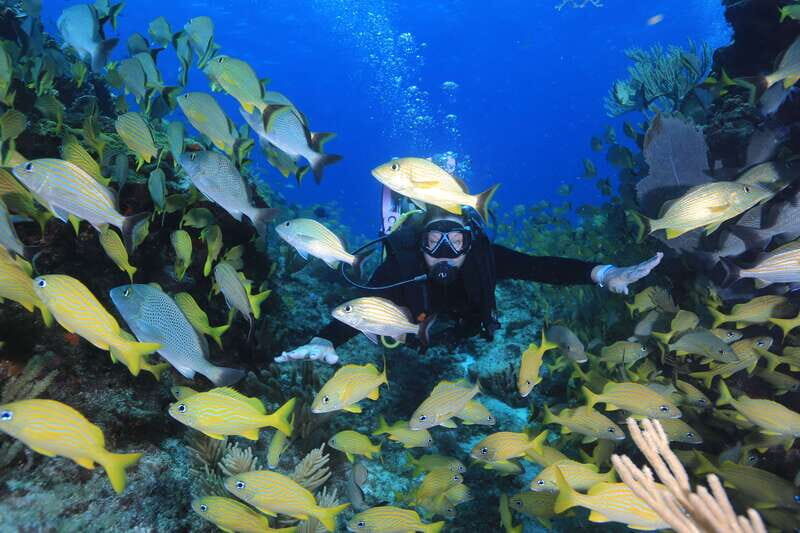 Cancun: Scuba Diving for Certified Divers, 3 options to dive - Additional Considerations