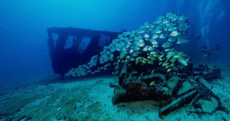 Cancun: Shipwreck and Reef Dives - Key Points