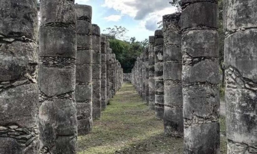 Cancun: Sightseeing Walking Tour With a Local Guide - Who Will Benefit Most?