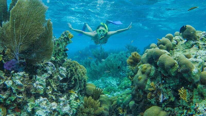 Cancun: Snorkel in MUSA Undewater Museum and Reef - The Pros and Cons Based on Real Feedback