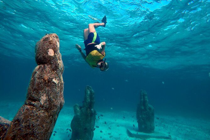 Cancun Snorkeling Adventure: Underwater Museum, Reef & Shipwreck - Key Points