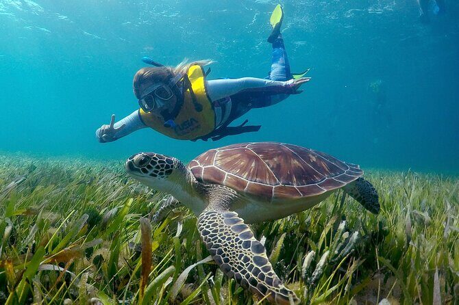 Cancun Snorkeling Adventure: Underwater Museum, Reef & Shipwreck - Who Should Consider This Tour?