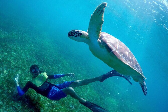 Cancun Snorkeling Adventure: Underwater Museum, Reef & Shipwreck - FAQ