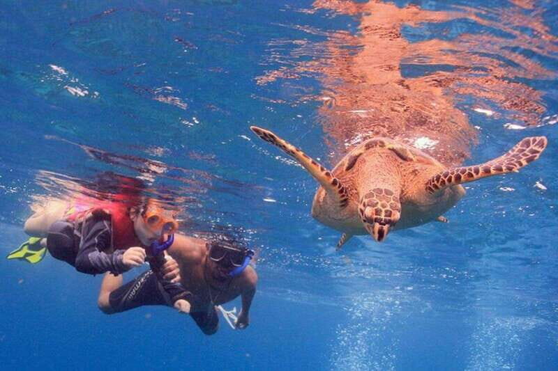 Cancun: Snorkeling at Underwater Museum & Manchones Reef - An Honest Look at the Experience