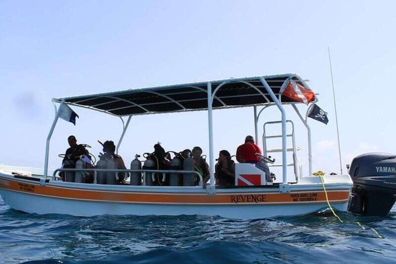 Cancun: Snorkeling at Underwater Museum & Manchones Reef - What the Reviews Tell Us