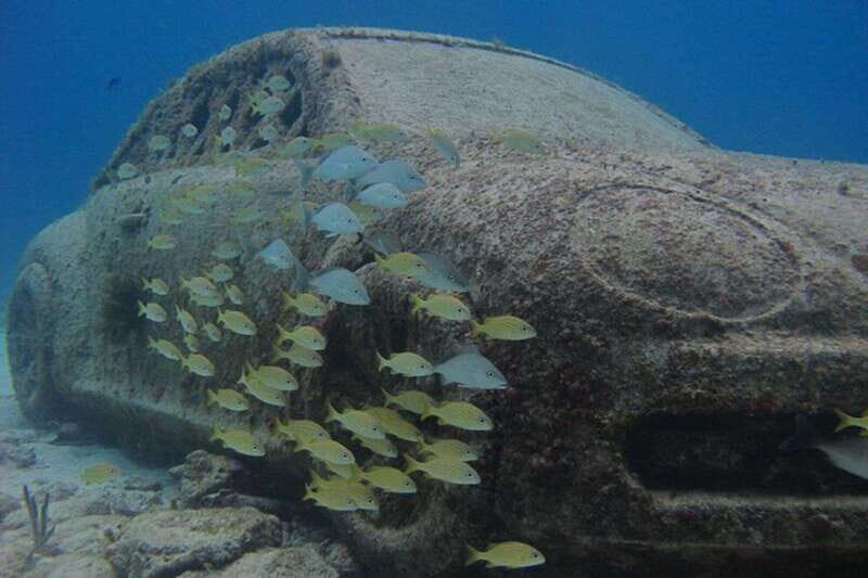 Cancun: Snorkeling at Underwater Museum & Manchones Reef - Practical Tips for Future Travelers
