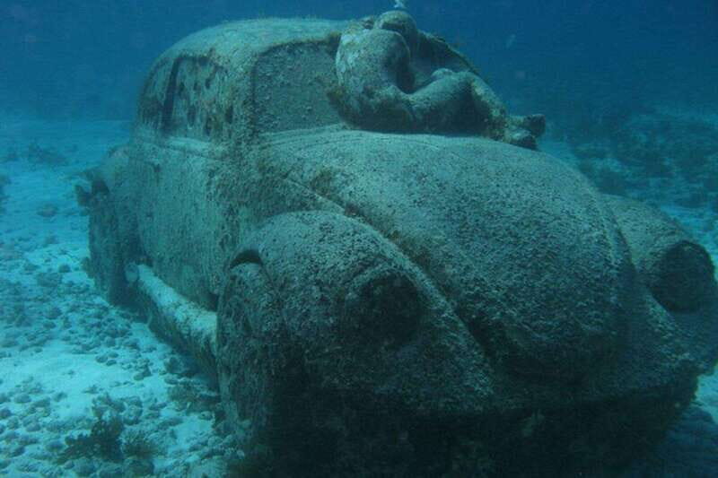 Cancun: Snorkeling at Underwater Museum & Manchones Reef - Who Would Enjoy This Tour?