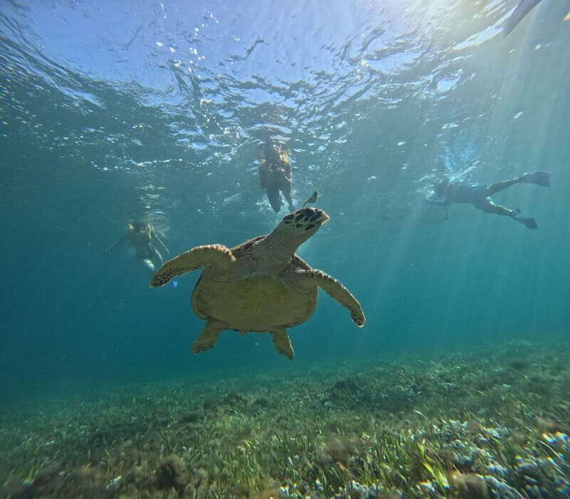 Cancun: Snorkeling Boat Tour with Gear - The Value of All-Inclusive Gear and Guided Support