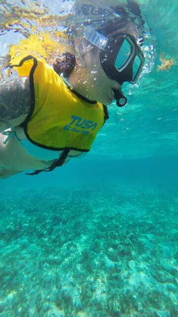 Cancun: Snorkeling Boat Tour with Gear - Final Thoughts: Is This the Right Tour for You?