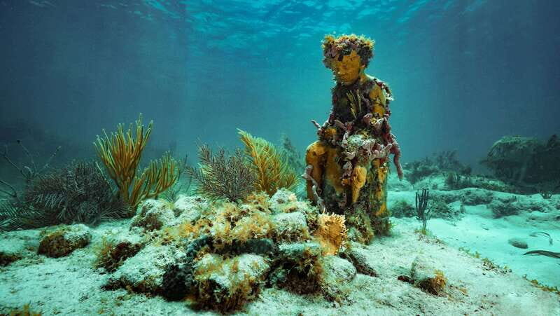 Cancun: Snorkeling Tour at MUSA The Underwater Museum - Key Points