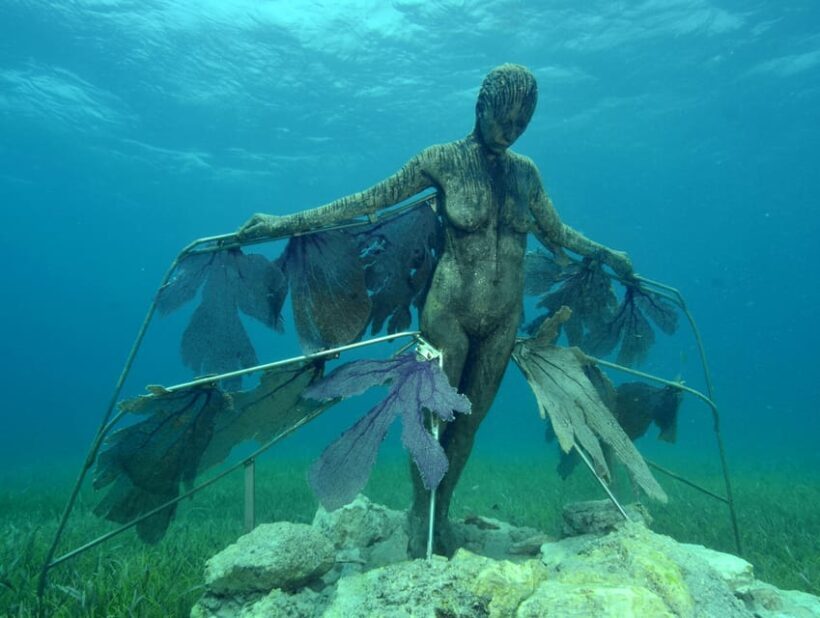 Cancun: Snorkeling Tour at MUSA The Underwater Museum - Preparing for the Tour