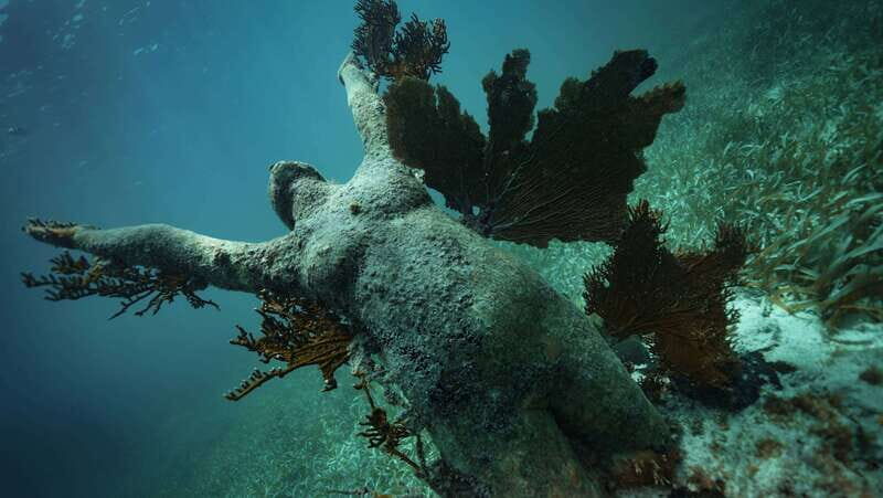 Cancun: Snorkeling Tour at MUSA The Underwater Museum - The Sum Up