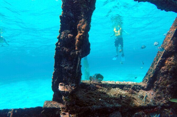 Cancun Snorkeling Tour: Swim with Turtles, Reef, Underwater Museum and Shipwreck - The Experience: What Travelers Say